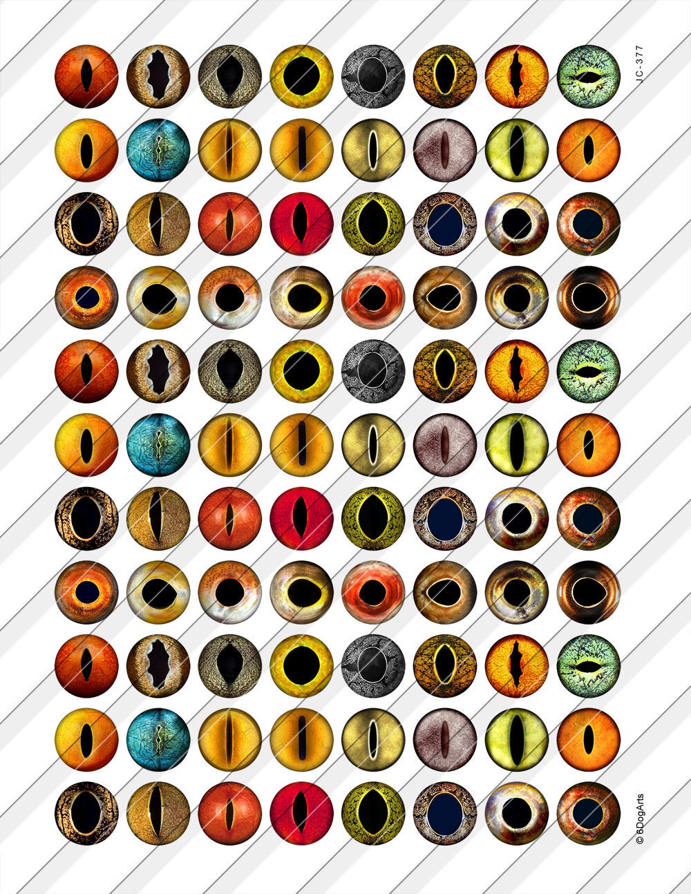 32 Realistic Reptile Fish Eyes for Fishing Lure, Taxidermy Digital ...