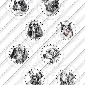 Dog Breeds BW Pencil Drawings Digital Collage Sheets Printable 2.755 ...