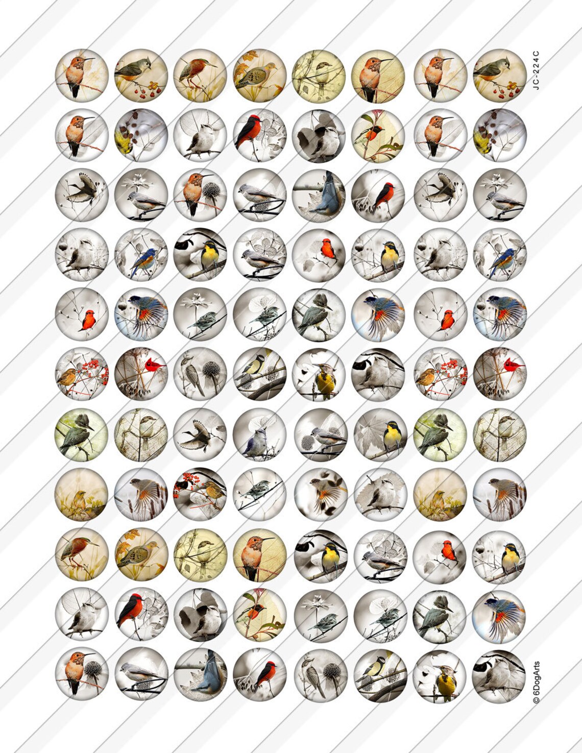 Birds Digital Collage Sheets Printable Downloads Mini Bottle - Etsy