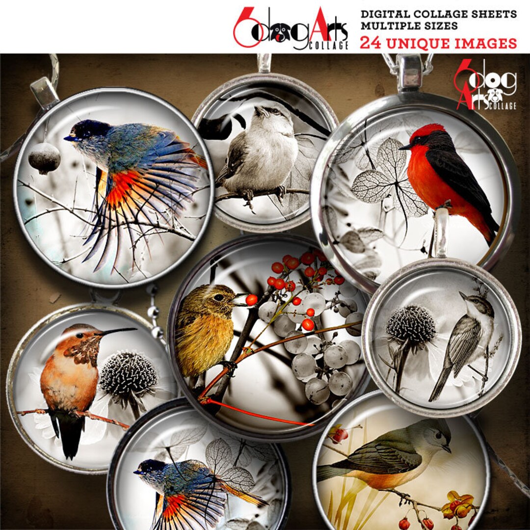Birds Digital Collage Sheets Printable Downloads Mini Bottle Caps ...
