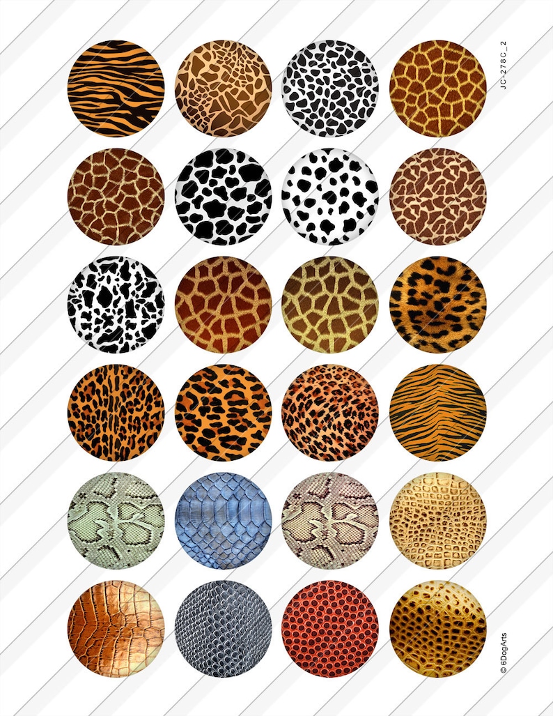 Animal Print Patterns Digital Collage Sheets Printable - Etsy