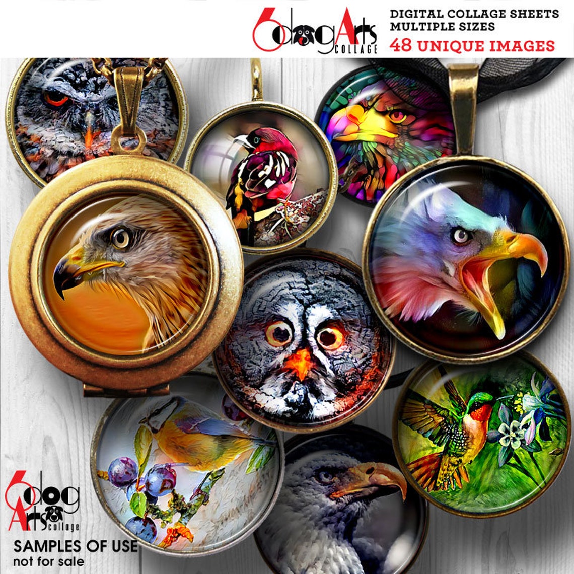 Bird Painting Digital Collage Sheets Printable Downloads for Bottle ...