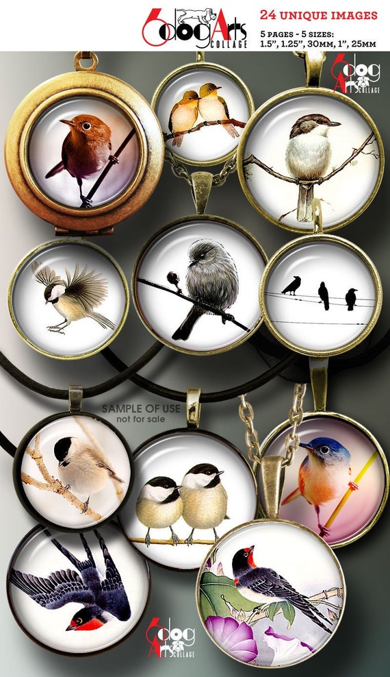 48 Unique Images Birds Digital Collage Sheets 1 25mm - Etsy