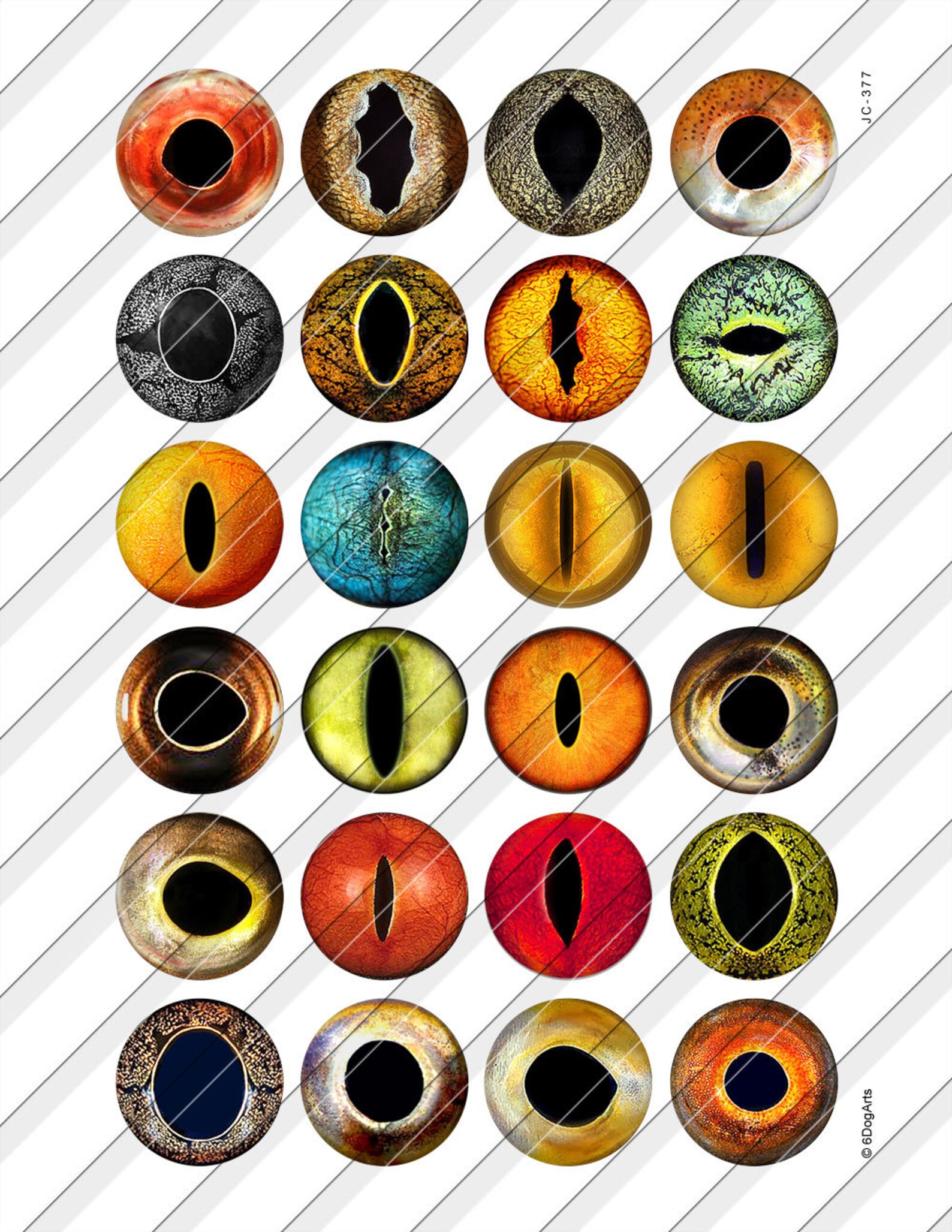 24 Realistic Reptile Fish Eyes for Fishing Lure Taxidermy - Etsy