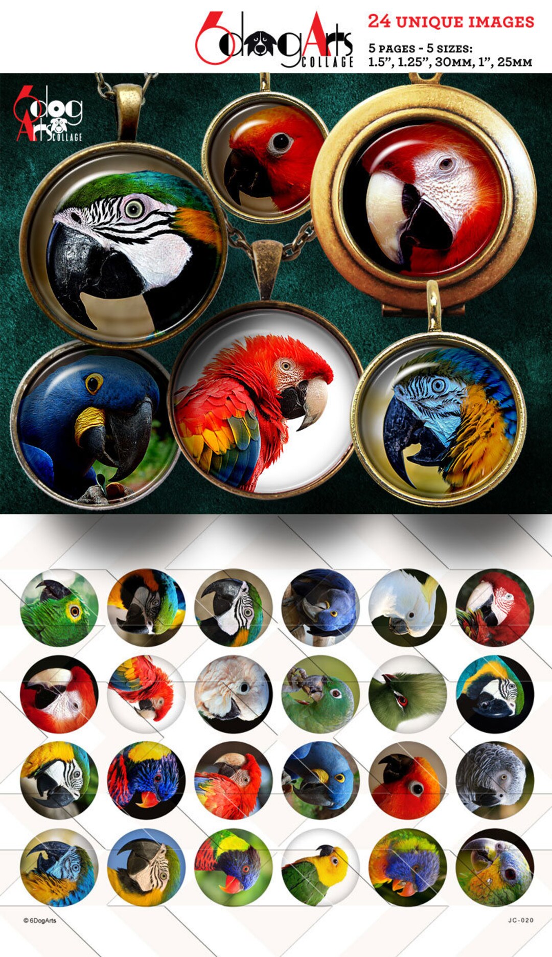 Parrots Digital Collage Sheets Printable Download for Bottle - Etsy