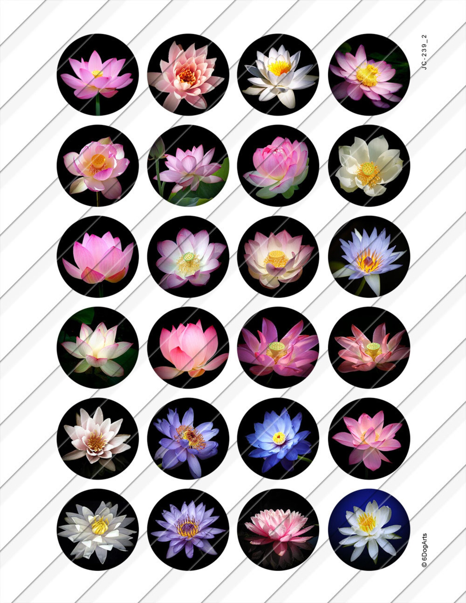 Lotus Flower Digital Collage Sheets Printable Download for - Etsy