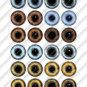 Realistic Dog Eyes Digital Collage Sheets Printable Irides Download ...