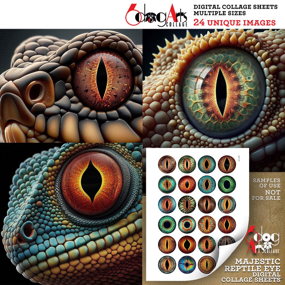 Majestic Reptile Eyes Digital Collage Sheets Printable Iris Chips Doll ...