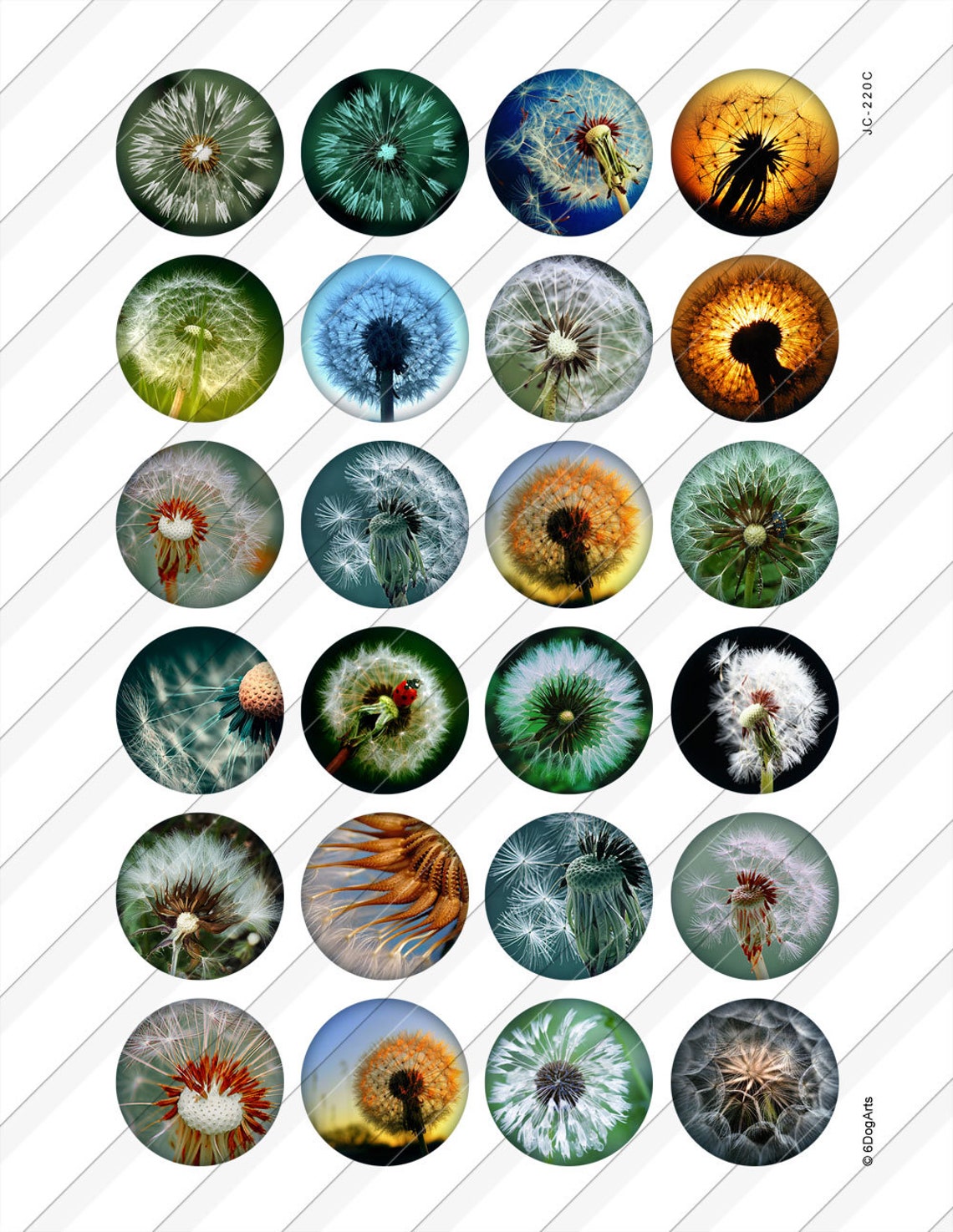 Dandelions Digital Collage Sheets Printable Downloads Bottle Caps ...