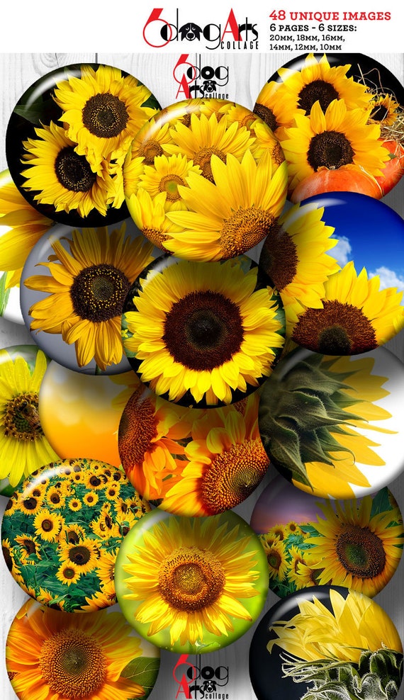 Sunflowers Digital Collage Sheets Printable Download Pendants - Etsy