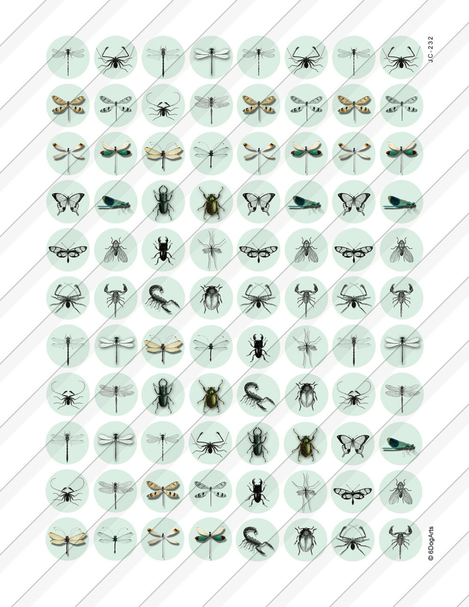 Insects Digital Collage Sheets Printable Instant Download for - Etsy