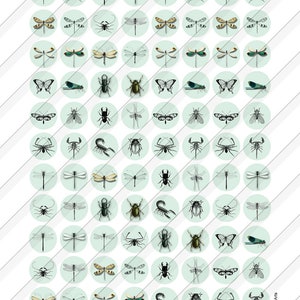 Insects Digital Collage Sheets Printable Instant Download for Pendants ...