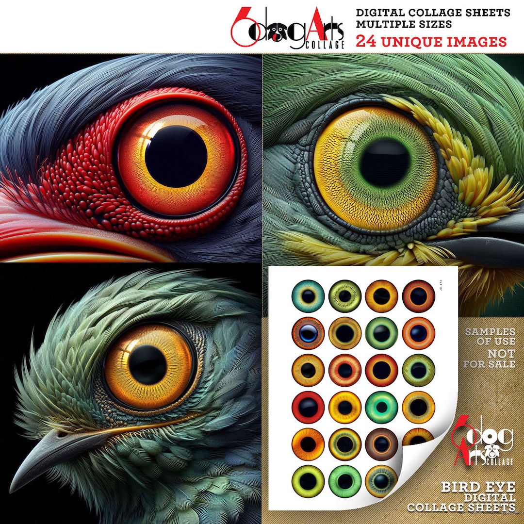 Bird Eyes Digital Collage Sheets Printable Iris Chips for Taxidermy ...