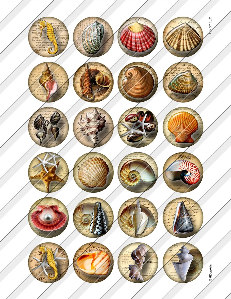 Sea Shells Digital Collage Sheets Printable Download for Bottle Caps ...