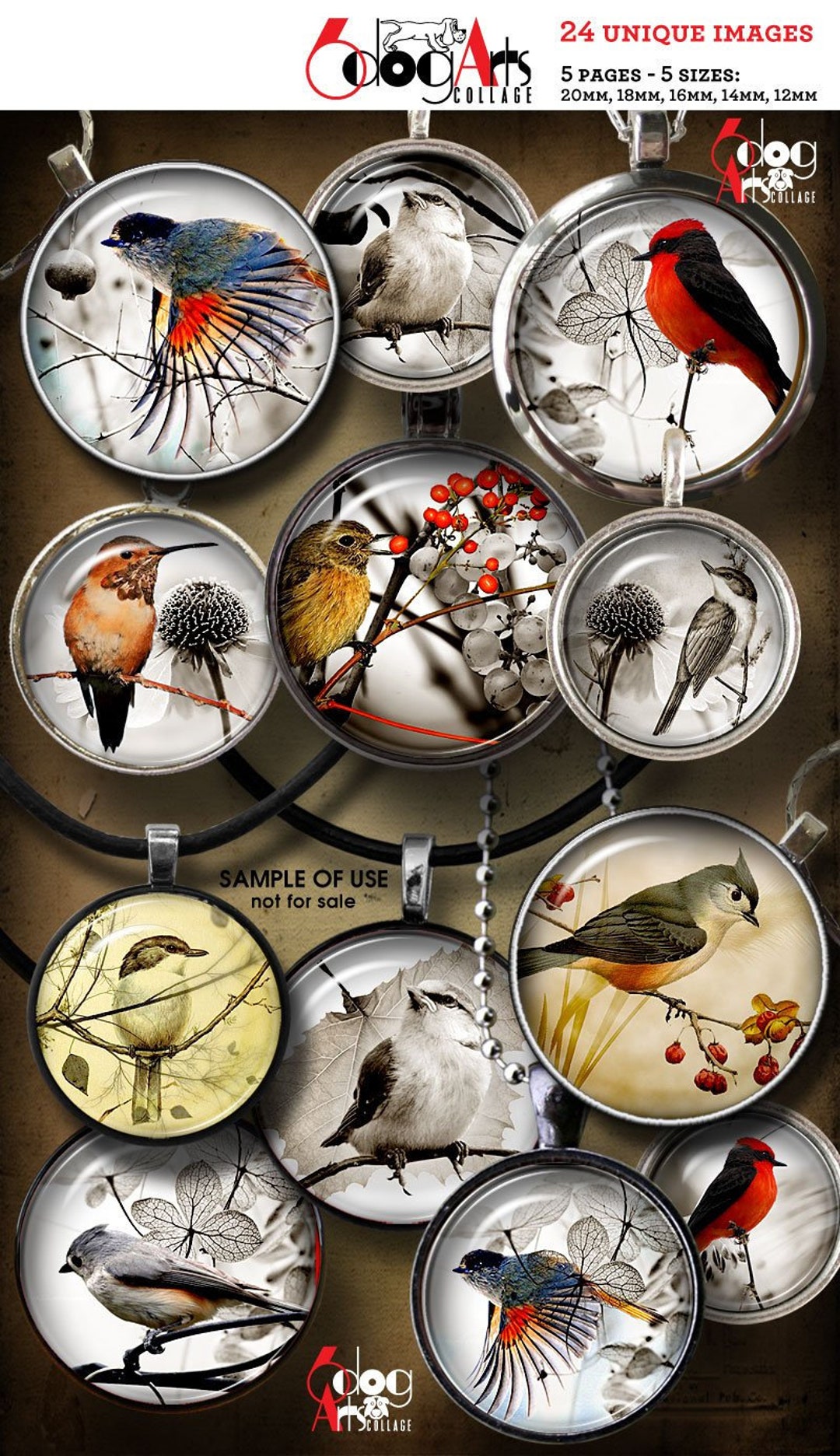 Birds Digital Collage Sheets Printable Downloads Mini Bottle - Etsy