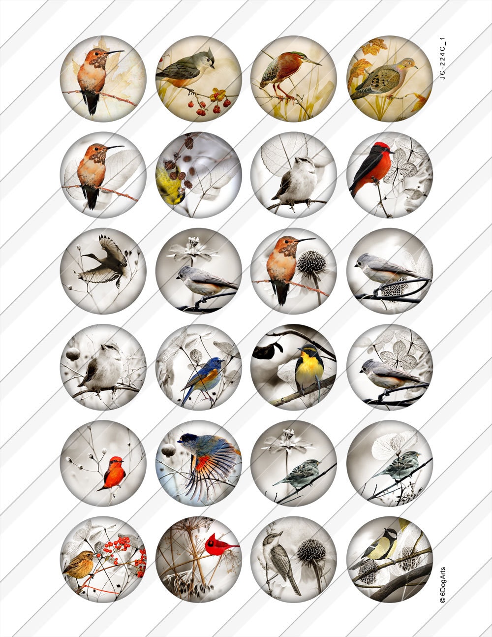 Birds Digital Collage Sheets Printable Downloads Bottle Caps - Etsy