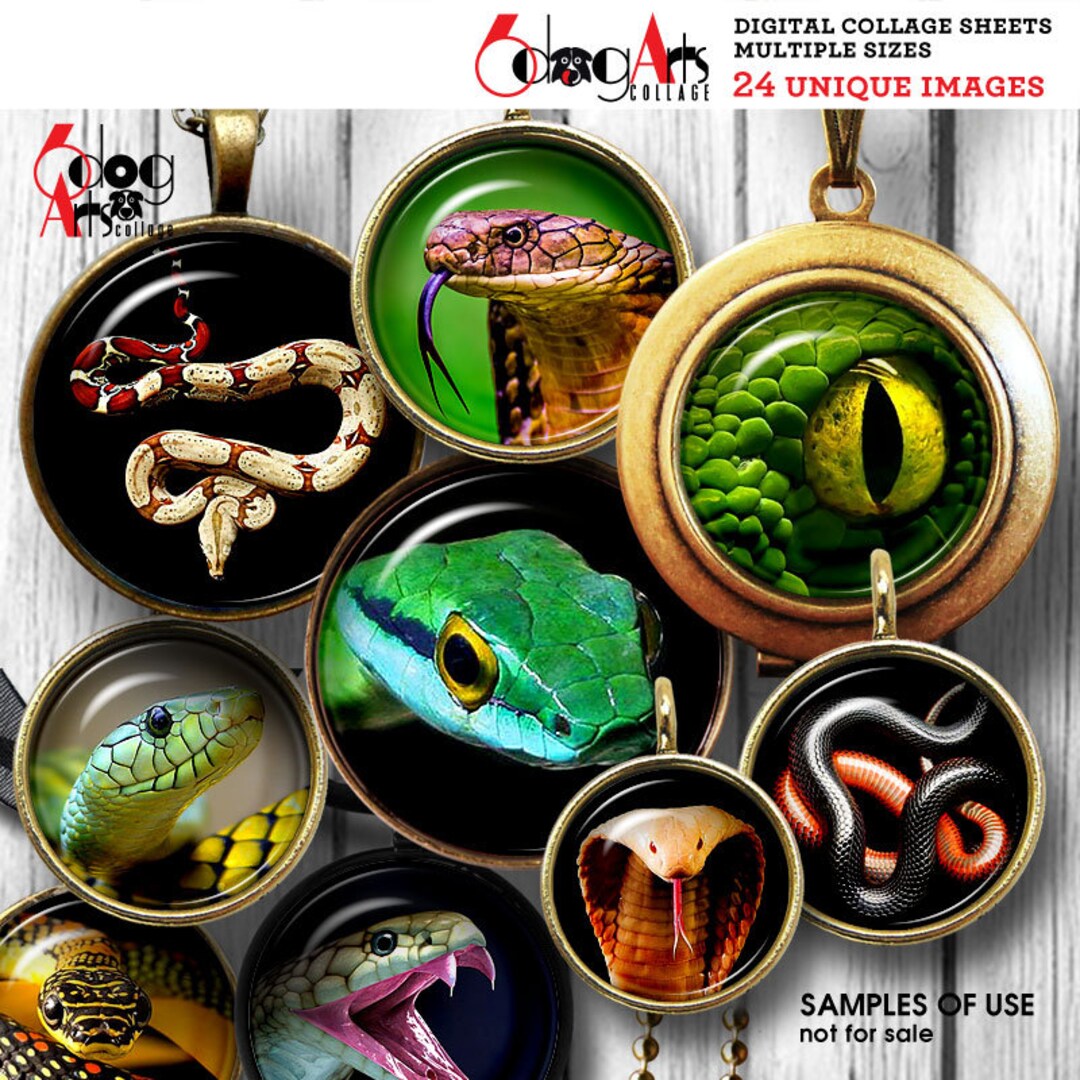 Snakes Digital Collage Sheets Printable Downloads for Bottle Caps ...