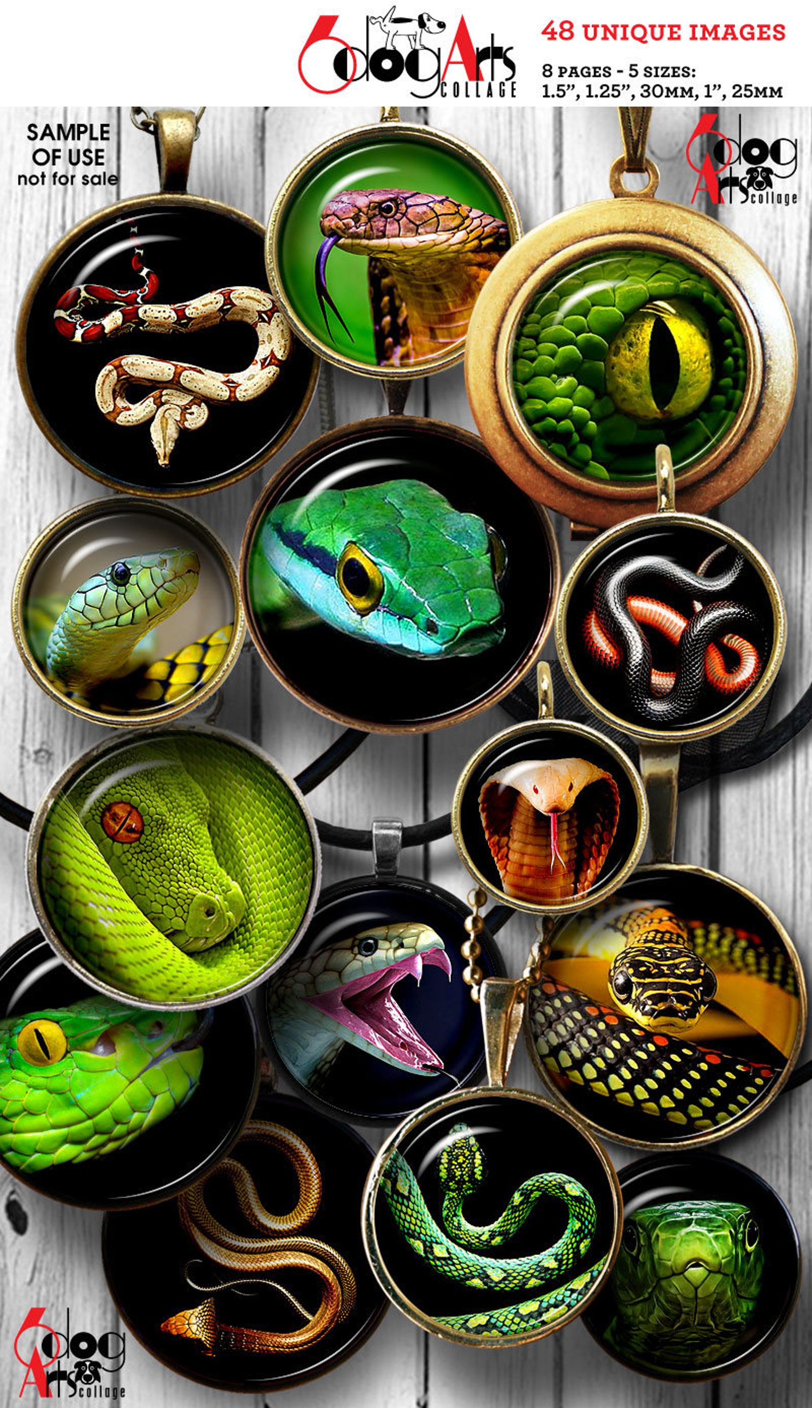 Snakes Digital Collage Sheets Printable Downloads for Bottle | Etsy