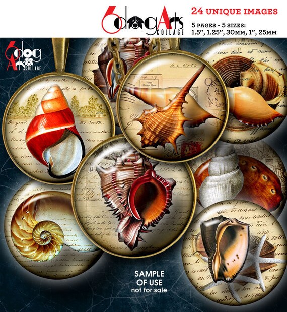 Sea Shells Digital Collage Sheets Printable Download for | Etsy