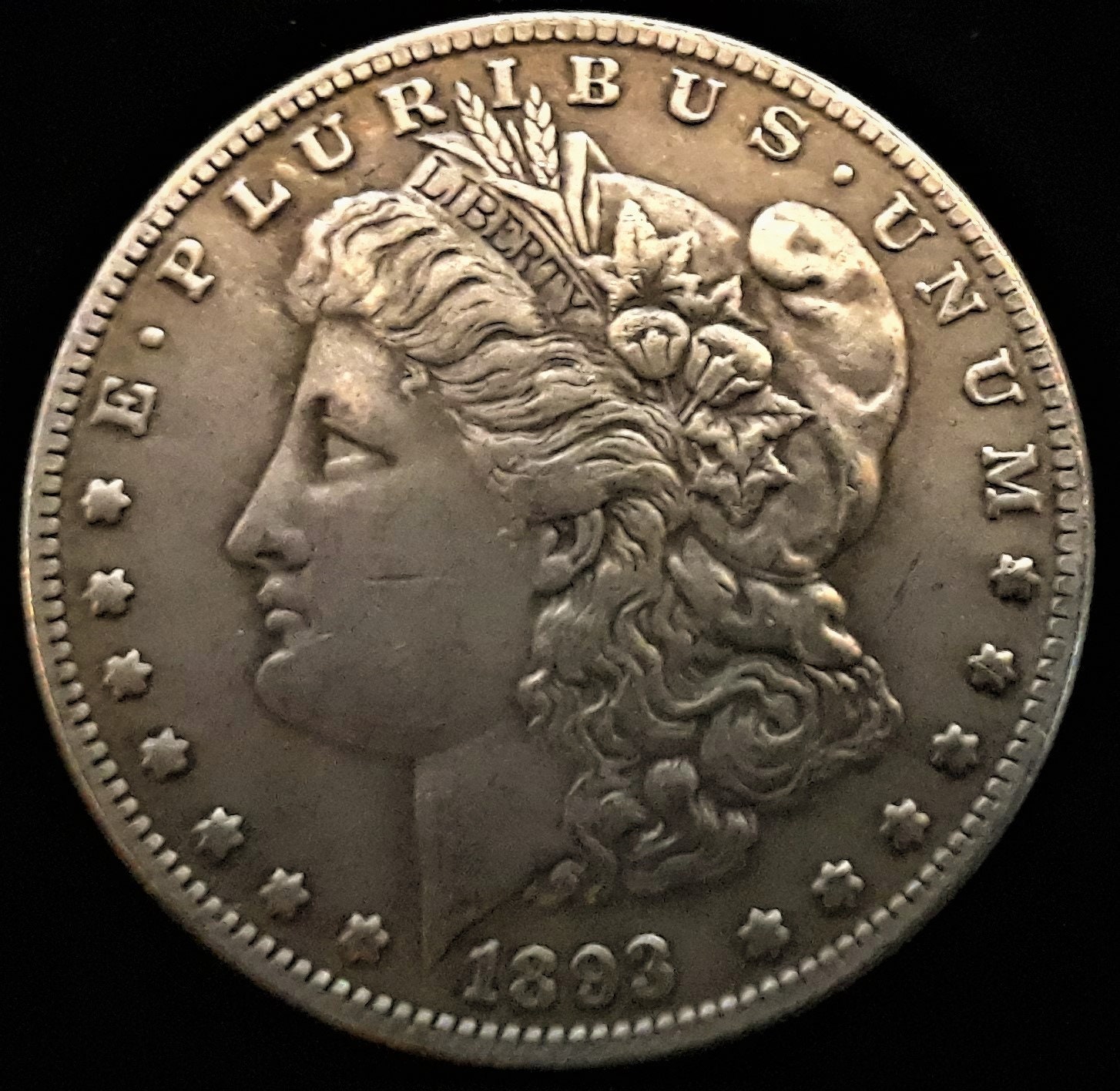 HOBO Coin/ Fantasy Art/ Collectable Hobo Dollar/challenge Coin ...