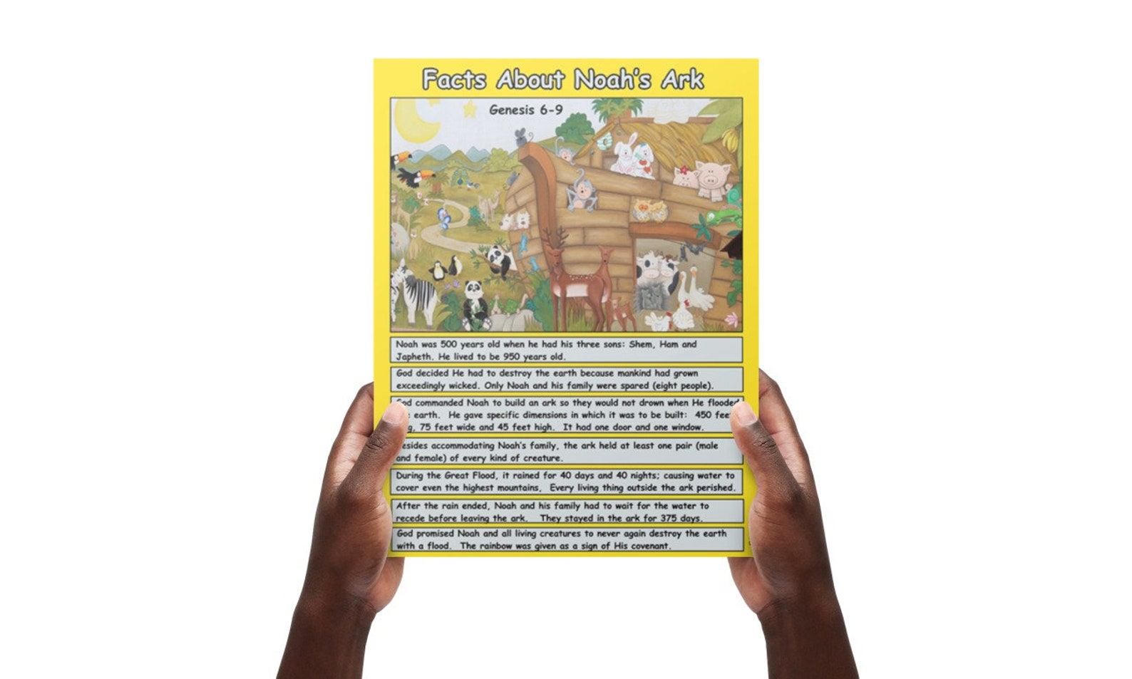 Printable Bible Chart for Kids / Illustrated / “facts About Noah’s Ark ...