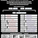 Printable Bible Study Chart, Illustrated Diagram: “what’s in A Name? A ...