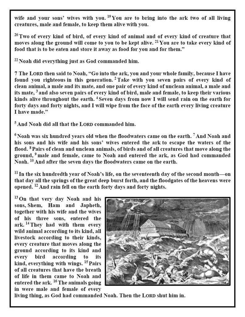 Printable Bible Study Aid, Illustrated: Genesis 6-8, Noah and the Flood ...