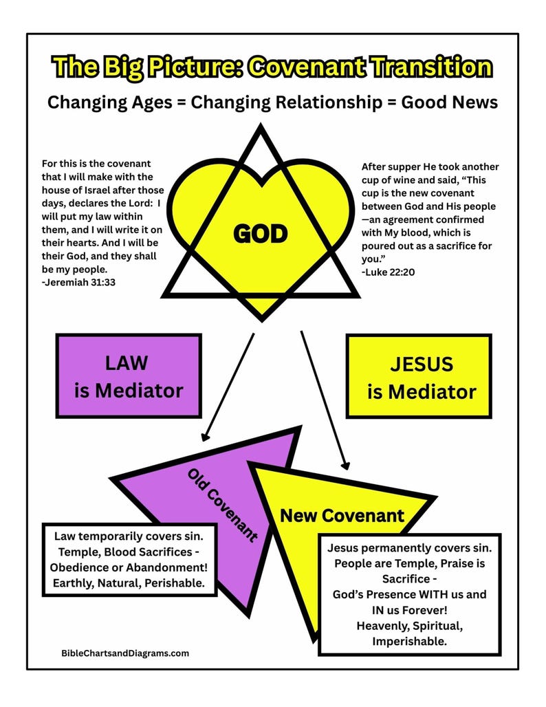 Printable Bible Study Chart, Illustrated Diagram/ “the Big Picture ...