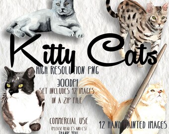 Kitten clipart | Etsy