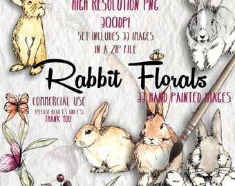 Peter rabbit clipart | Etsy