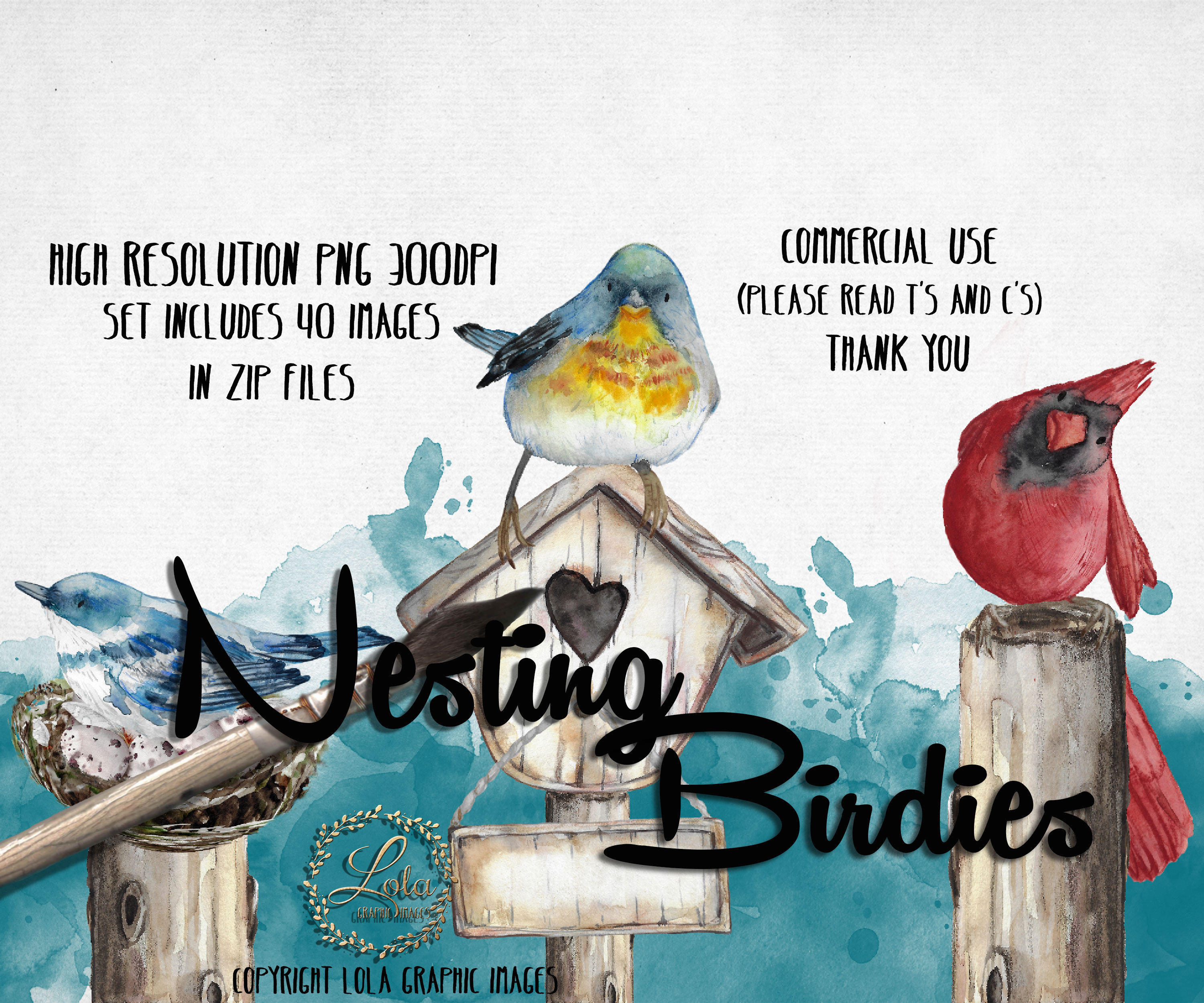 Watercolor Bird Clipart Birdhouse Graphics Birdie Eggs in Nest | Etsy
