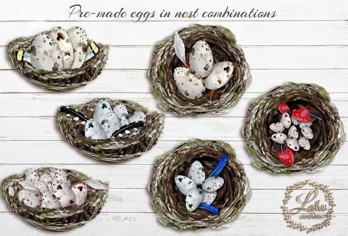 Watercolor Bird Clipart Birdhouse Graphics Birdie Eggs in Nest - Etsy