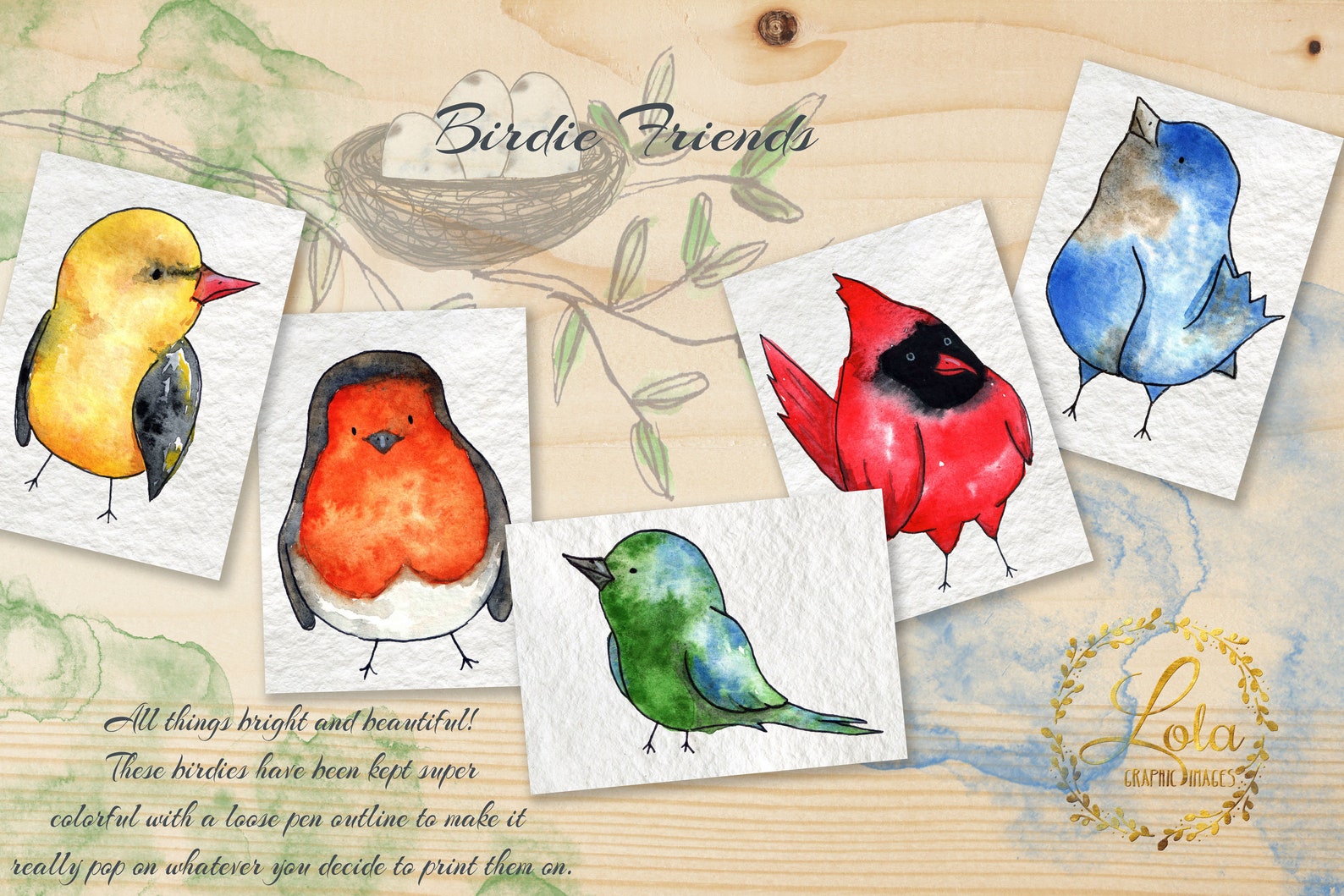 Bird Clipart Birdhouse Graphics Birdie Image Robin Red - Etsy