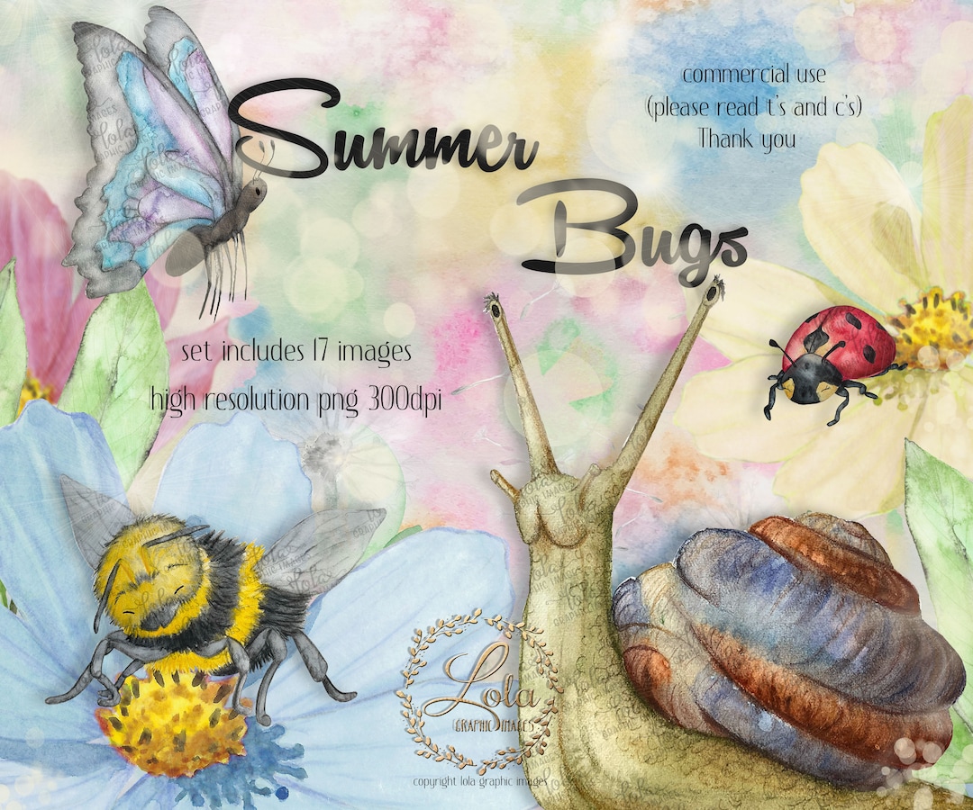 Cute Summer Bugs Clipart Watercolor Insect Bee Snail - Etsy