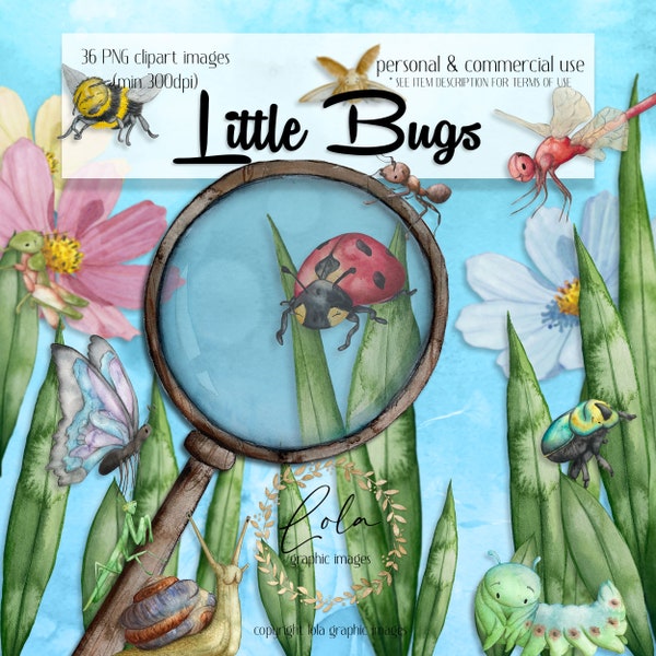 Watercolor Insects - Etsy