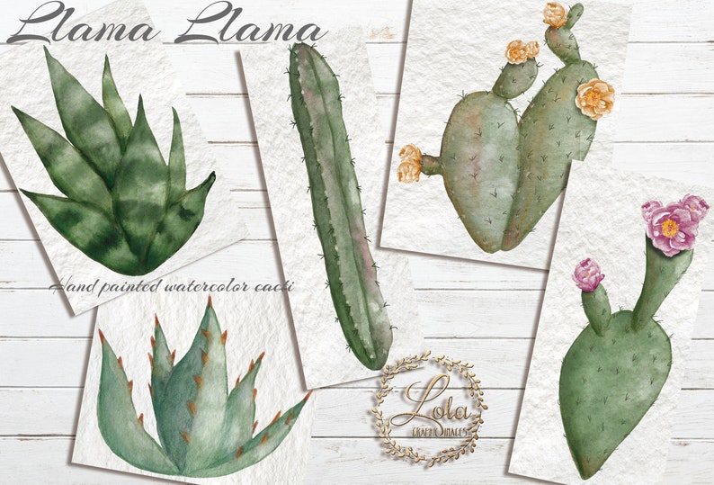 Watercolor Llama Clipart Cute Alpaca Graphics Cactus Art Baby | Etsy