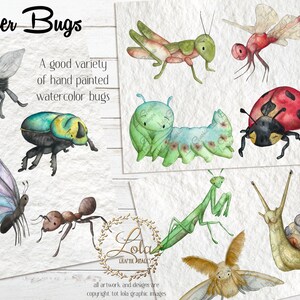 Cute Summer Bugs Clipart Watercolor Insect Bee Snail - Etsy