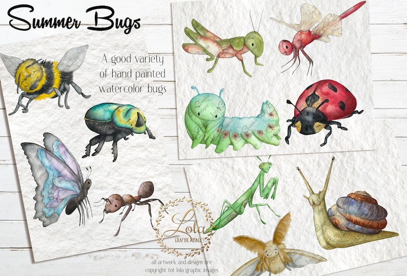Cute Summer Bugs Clipart Watercolor Insect Bee Snail - Etsy