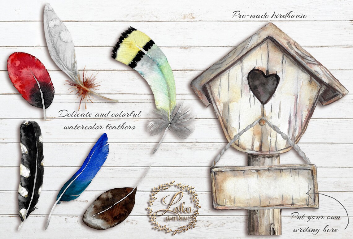 Watercolor Bird Clipart Birdhouse Graphics Birdie Eggs in Nest - Etsy