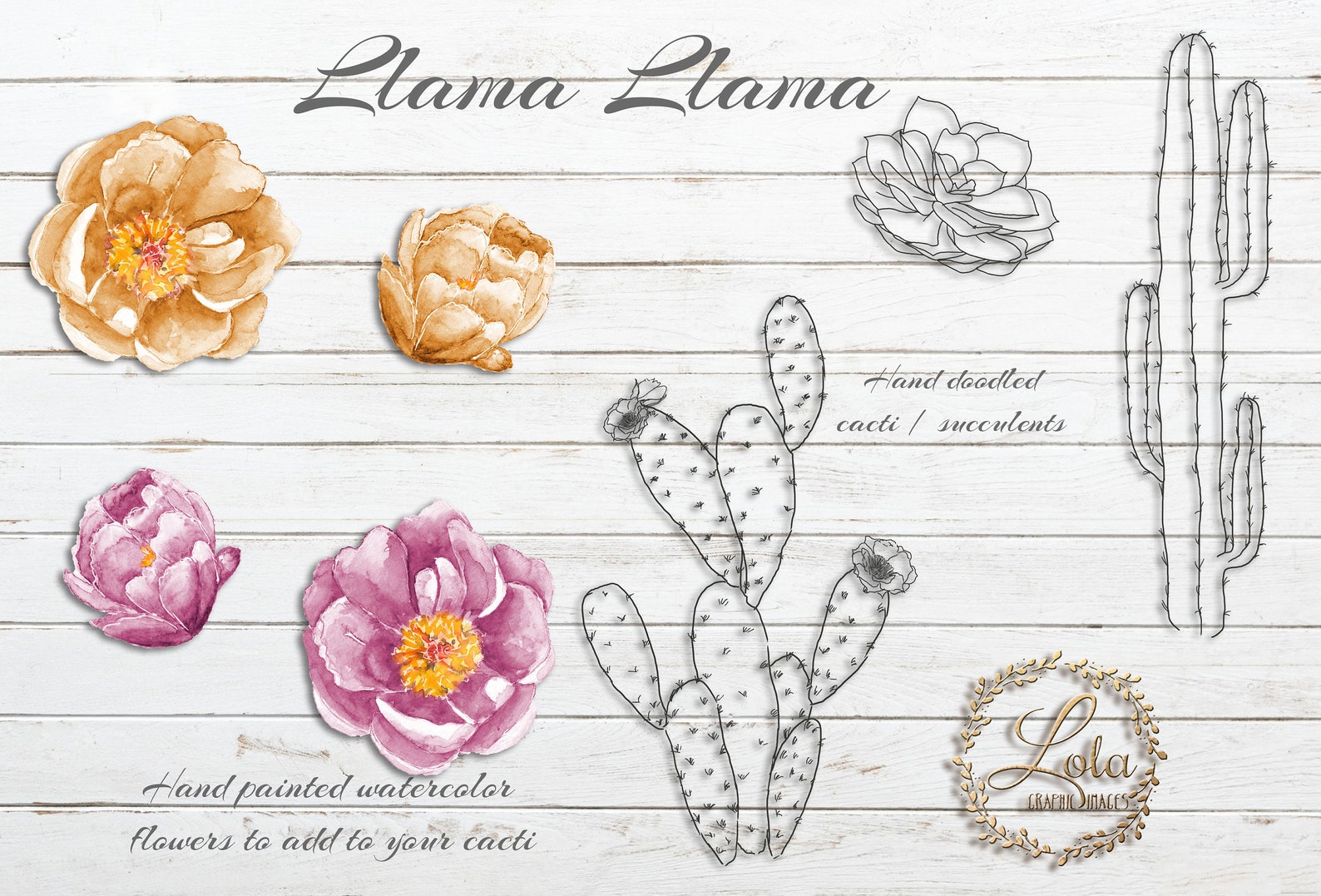 Watercolor Llama Clipart Cute Alpaca Graphics Cactus Art Baby | Etsy