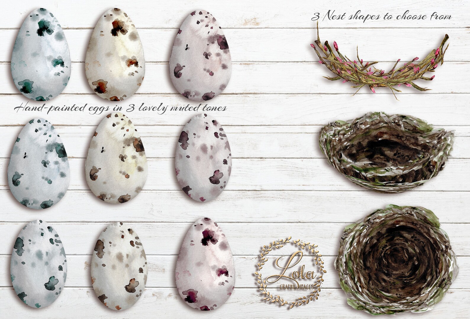 Watercolor Bird Clipart Birdhouse Graphics Birdie Eggs in Nest - Etsy