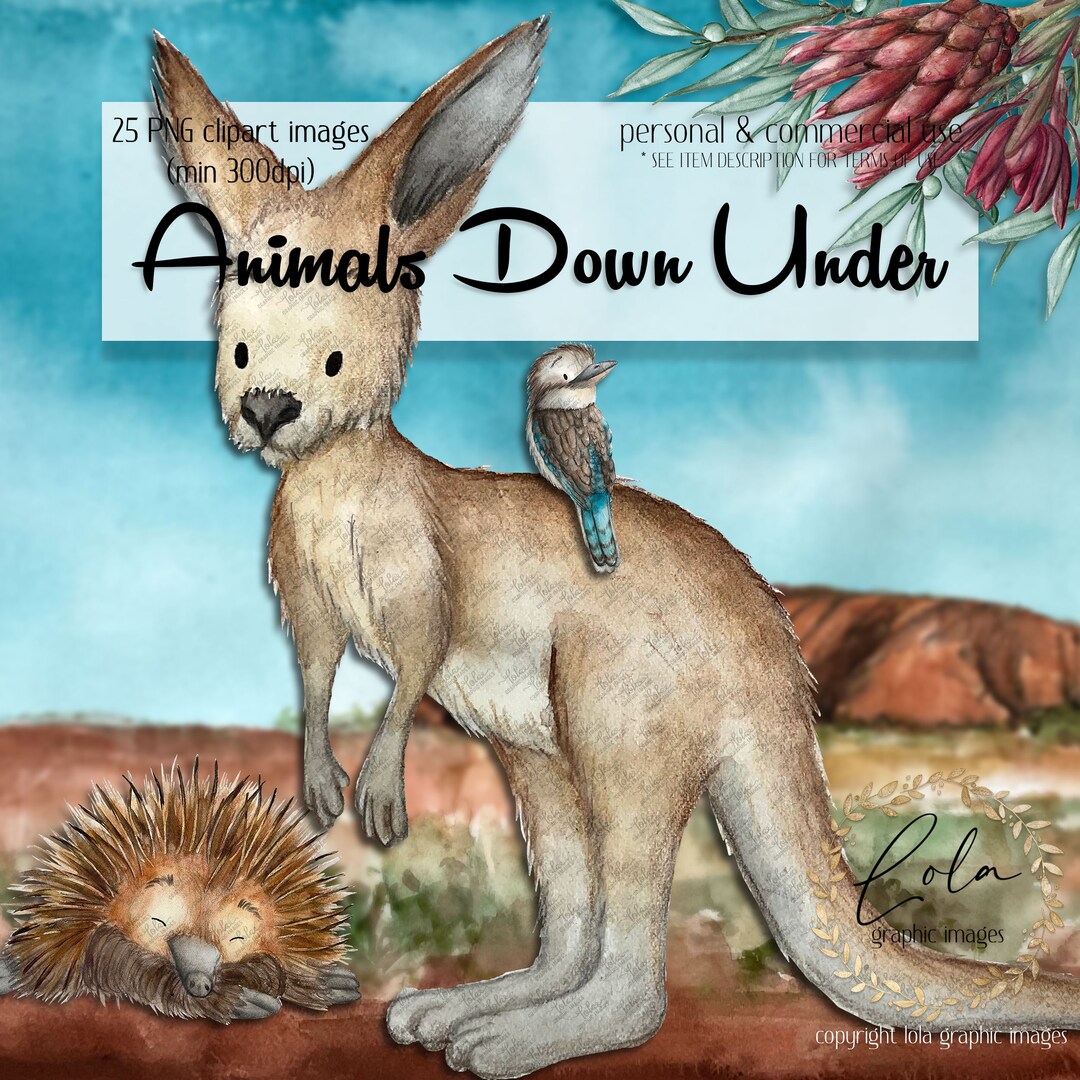 Cute Australian Animals Clipart Watercolor Kangaroo Koala Platypus ...