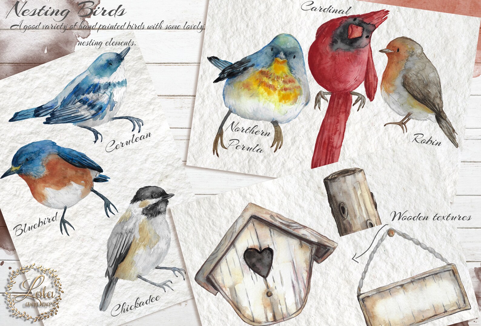 Watercolor Bird Clipart Birdhouse Graphics Birdie Eggs in Nest - Etsy