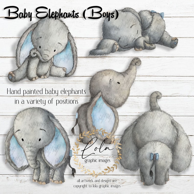 Watercolor Boy Elephant Clipart Africa Elly Animal - Etsy