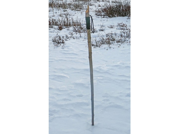 Hiking Staff Made From Beaver-chewed Stick - Etsy