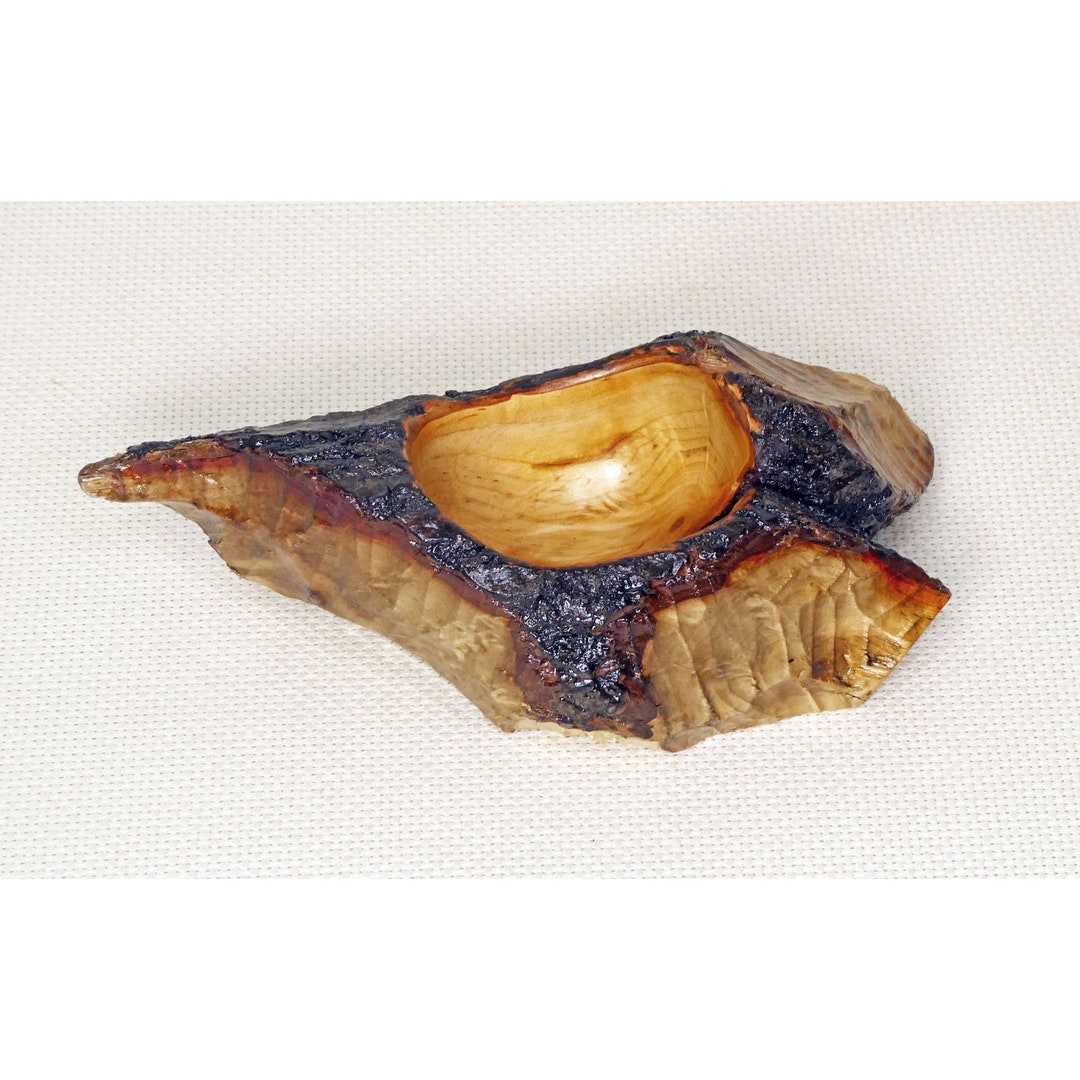 Small Bowl Made From a Beaver-chewed Log - Etsy