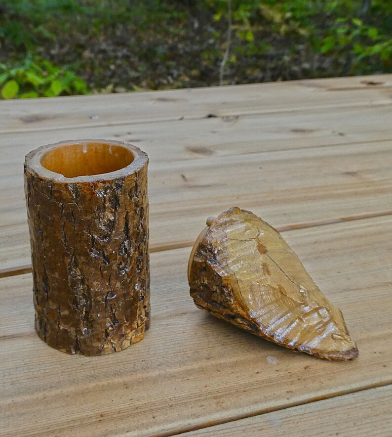 Small Box Made From a Beaver-chewed Log - Etsy