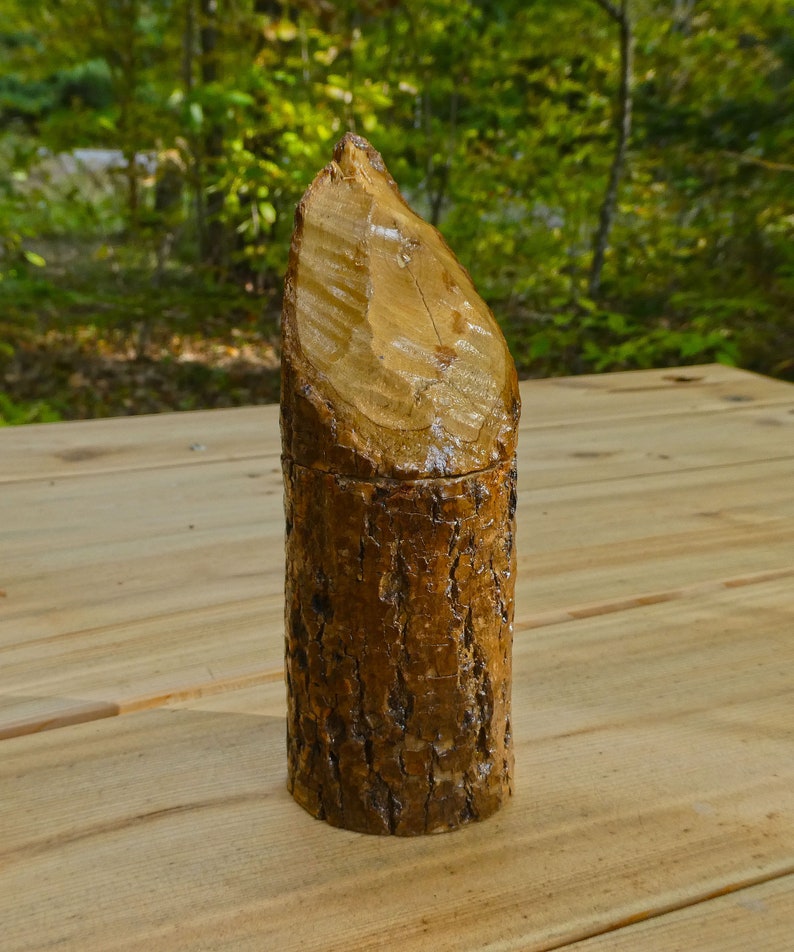 Small Box Made From a Beaver-chewed Log - Etsy