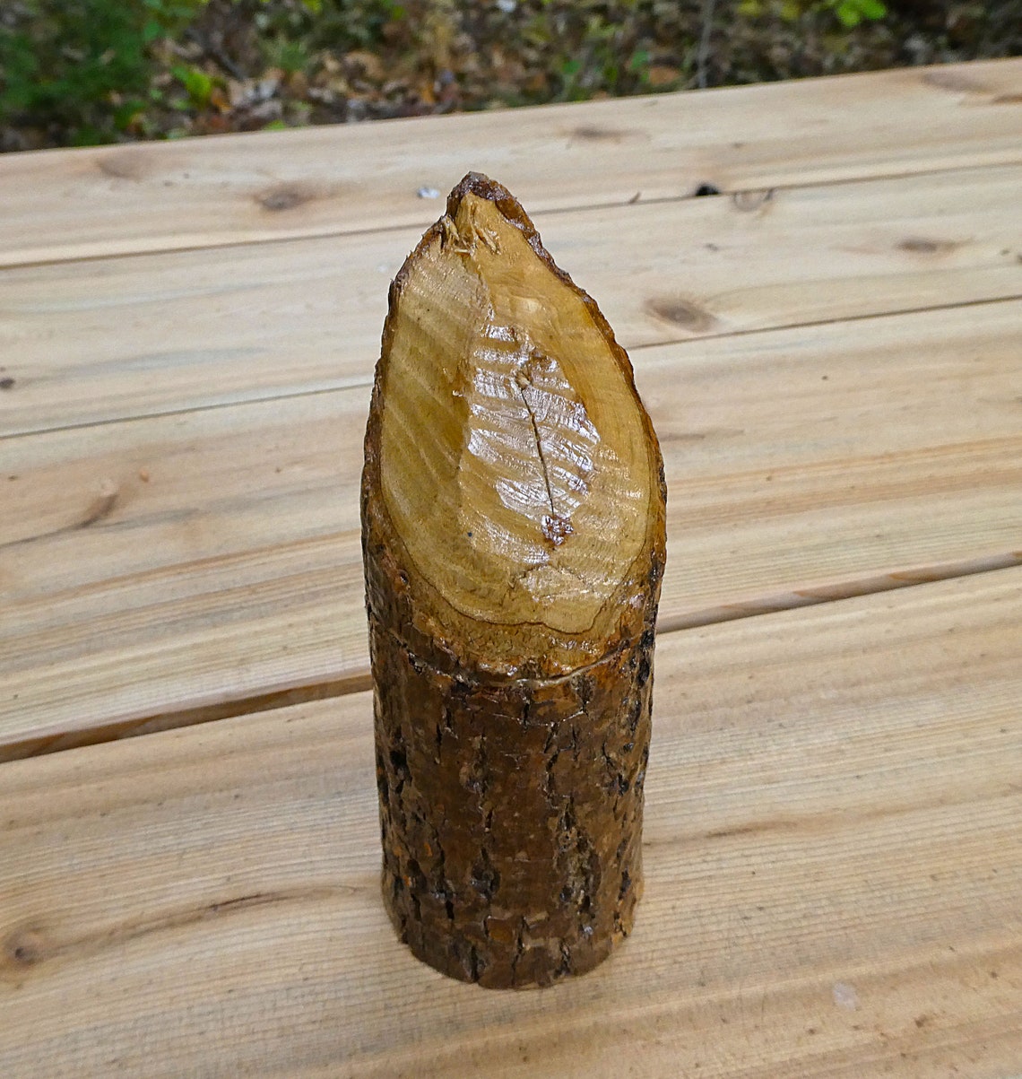 Small Box Made From a Beaver-chewed Log - Etsy