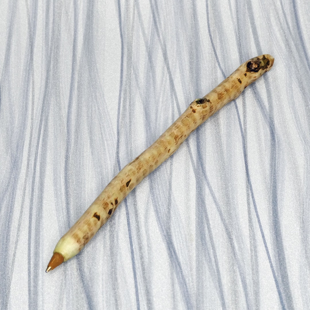 Pen Made From a Beaver-chewed Stick - Etsy